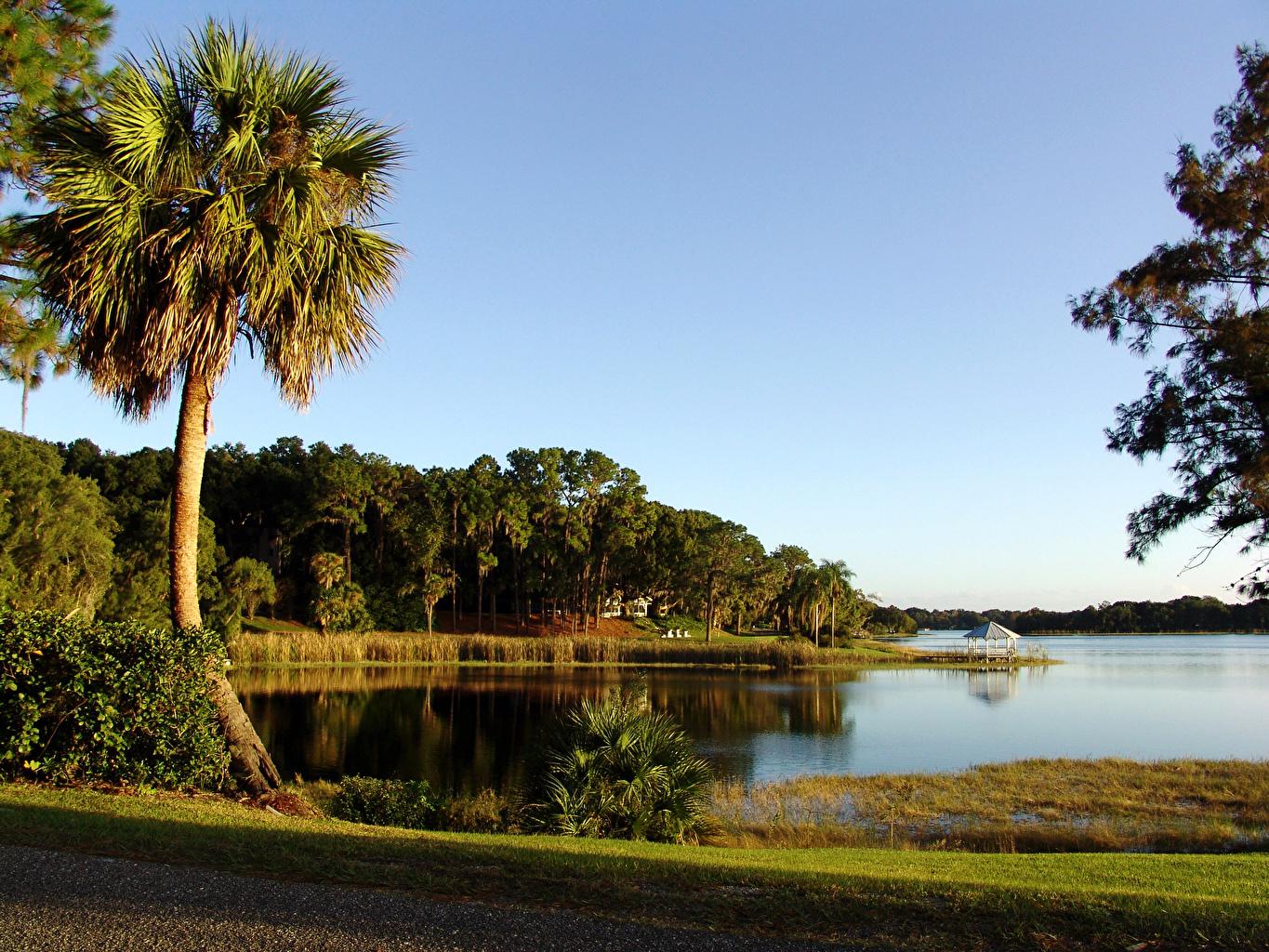 Florida Landscape Wallpapers - Top Free Florida Landscape Backgrounds ...