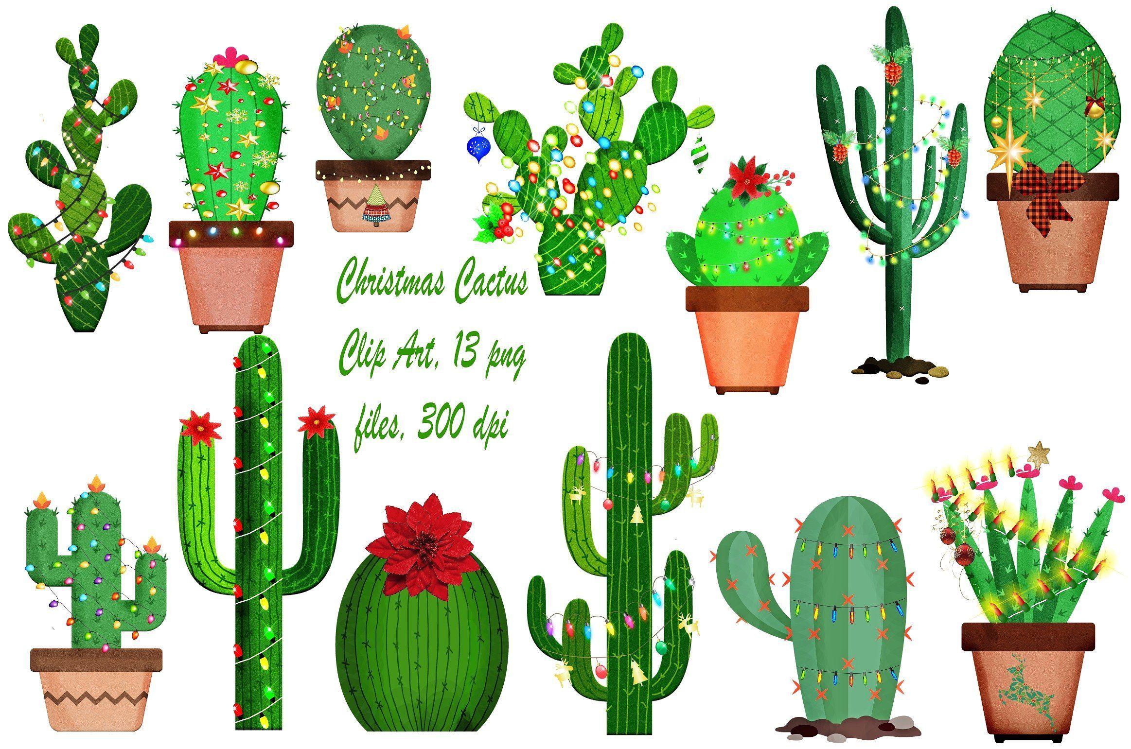 Christmas Succulents Wallpapers - Top Free Christmas Succulents ...