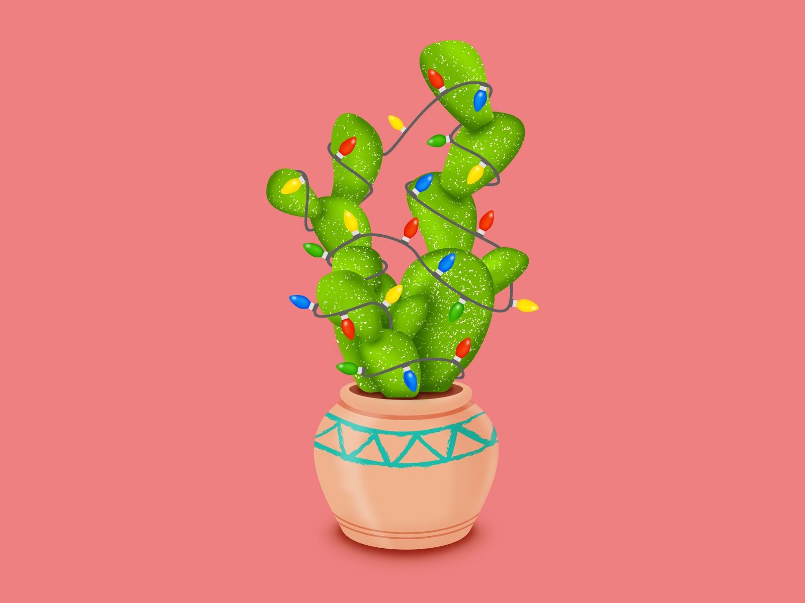 Christmas Succulents Wallpapers - Top Free Christmas Succulents ...