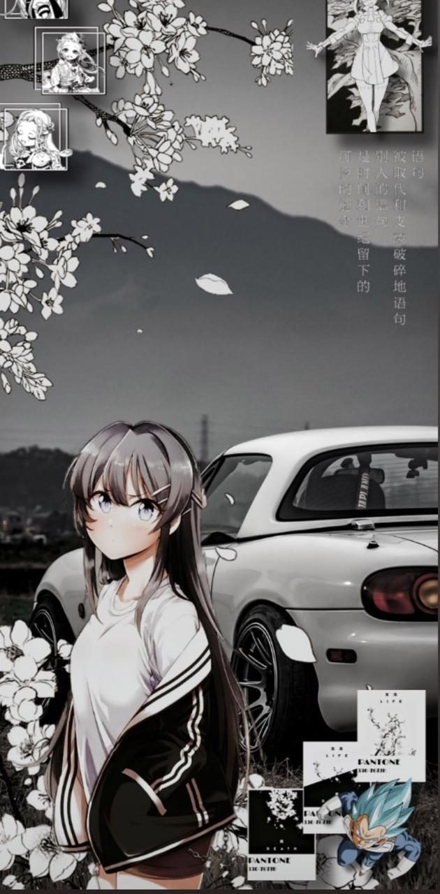 Bunny Senpai Wallpapers - Top Free Bunny Senpai Backgrounds ...