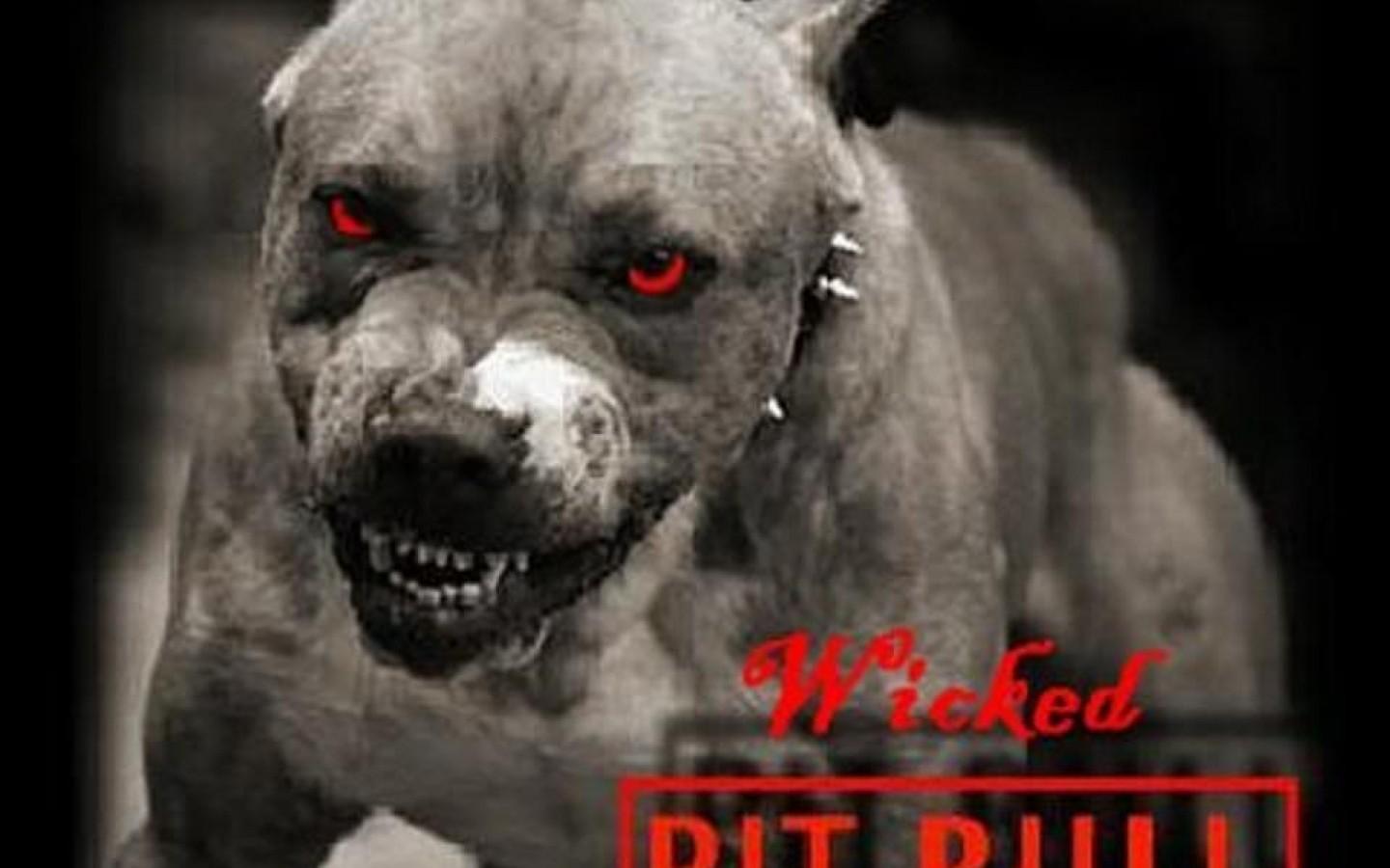Scary Dog Wallpapers - Top Free Scary Dog Backgrounds - WallpaperAccess