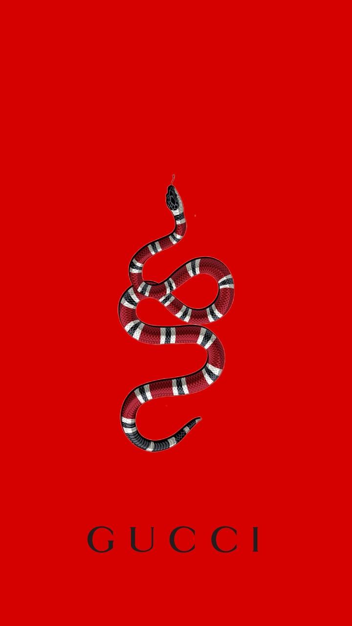Gucci Snake Logo Wallpapers - Top Free Gucci Snake Logo Backgrounds ...