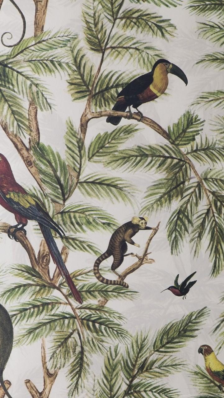 Jungle Print Wallpapers - Top Free Jungle Print Backgrounds ...