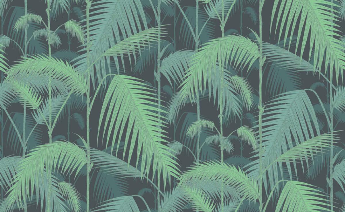 Jungle Print Wallpapers - Top Free Jungle Print Backgrounds ...