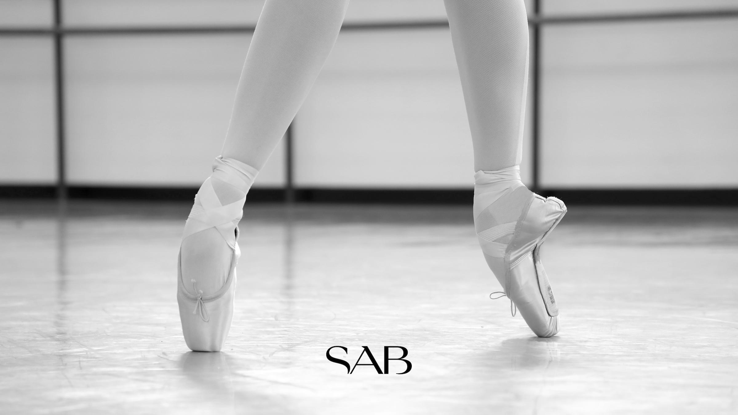 Ballet Desktop Wallpapers - Top Free Ballet Desktop Backgrounds ...