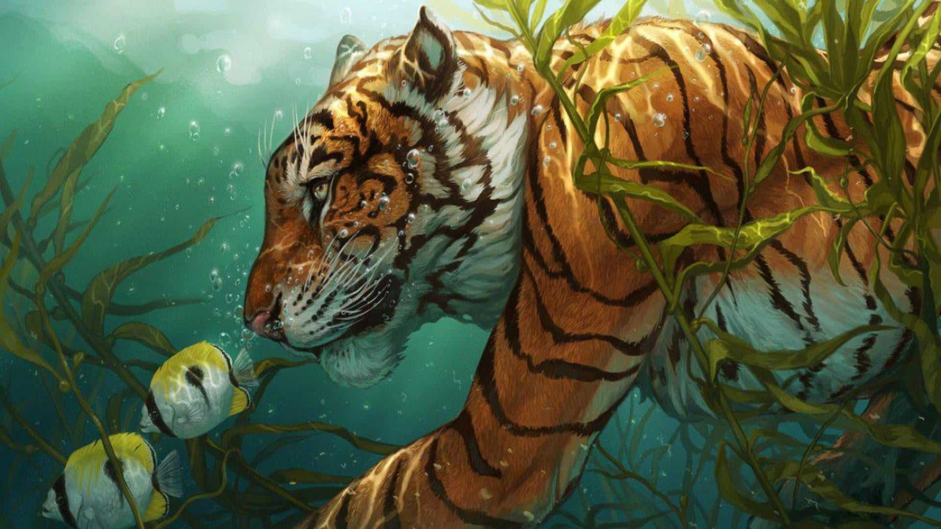 Tiger Underwater Wallpapers - Top Free Tiger Underwater Backgrounds ...