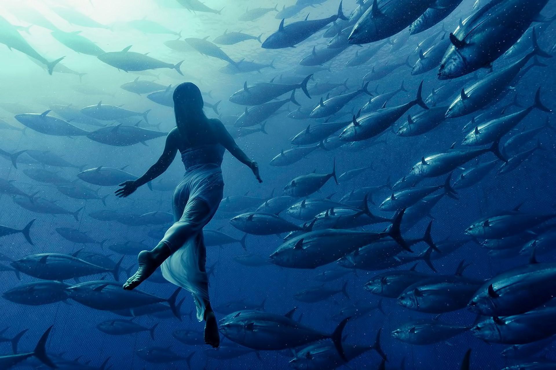 Underwater PC Wallpapers - Top Free Underwater PC Backgrounds ...