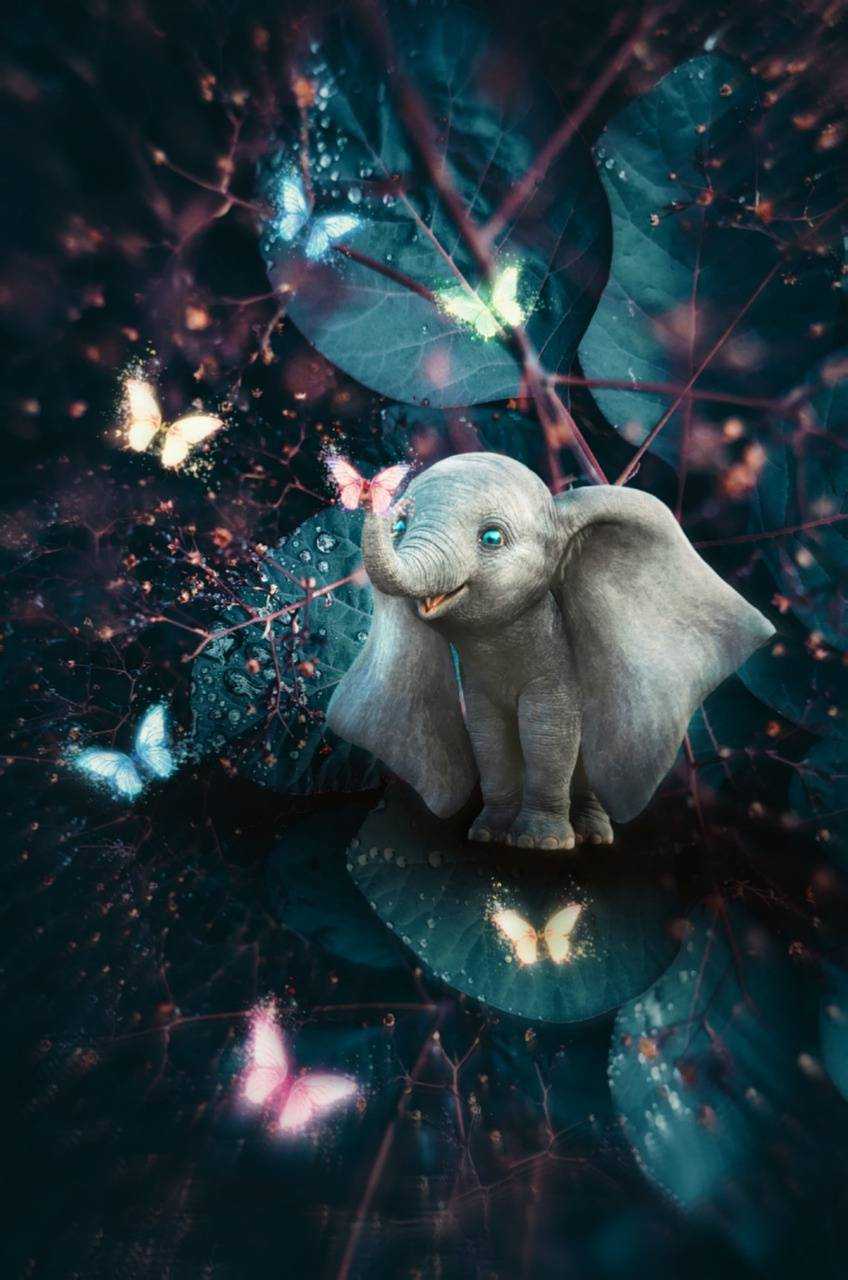 Cute Elephant Art Wallpapers - Top Free Cute Elephant Art Backgrounds ...