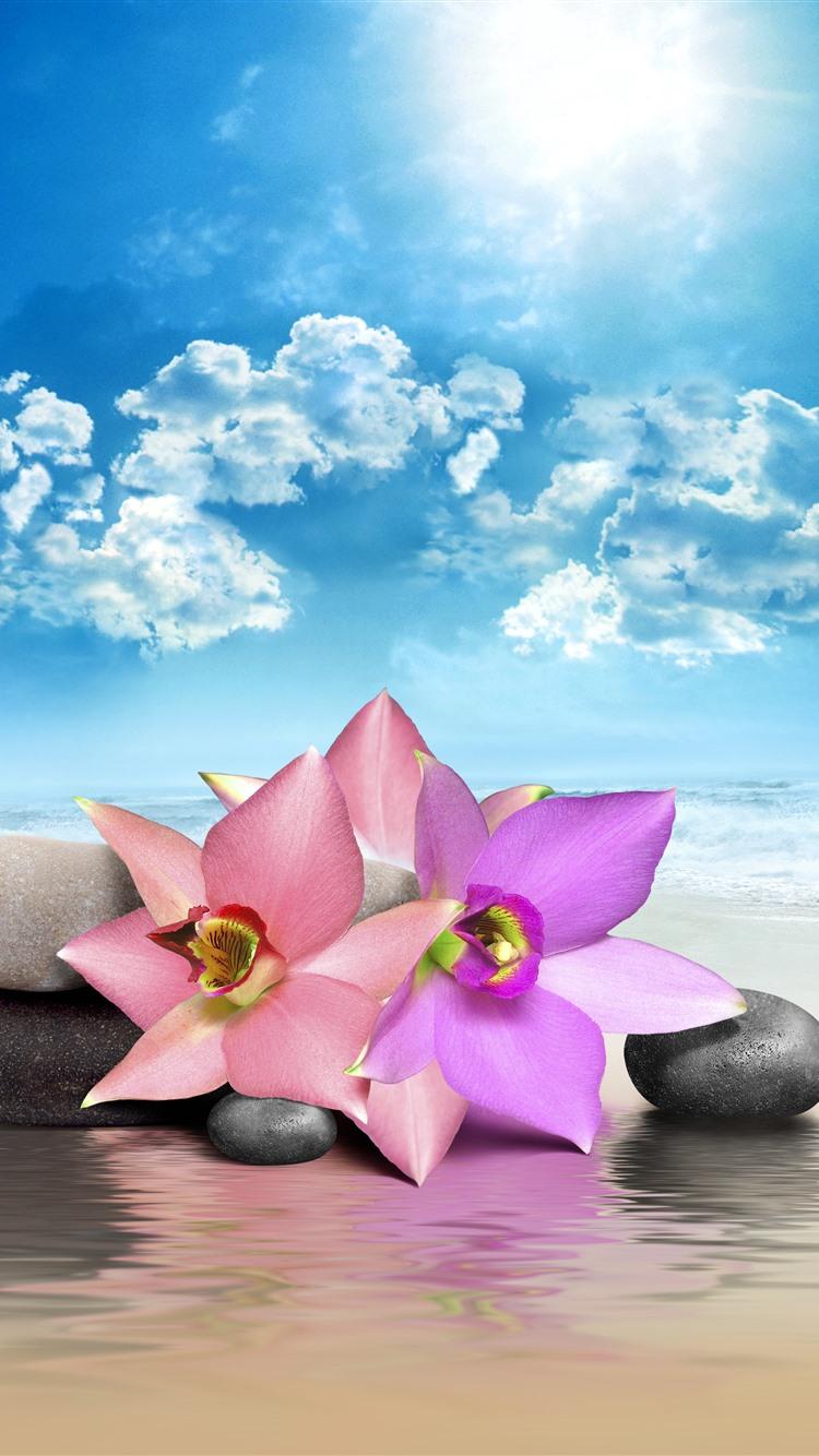 Clouds and Sun iPhone Wallpapers - Top Free Clouds and Sun iPhone ...