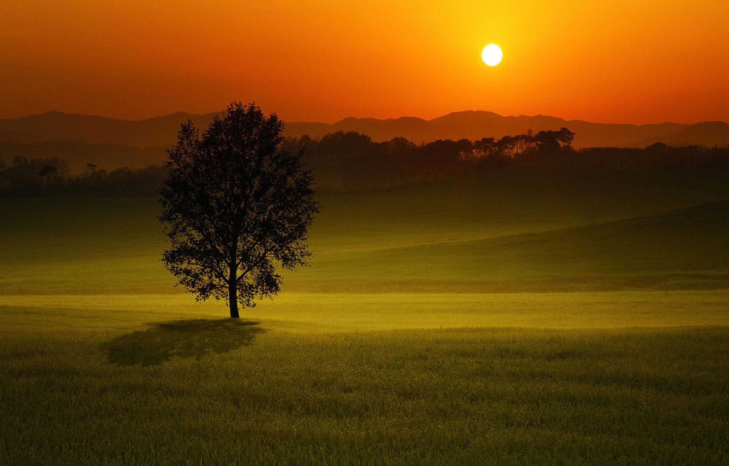 2500X1600 Wallpapers - Top Free 2500X1600 Backgrounds - WallpaperAccess