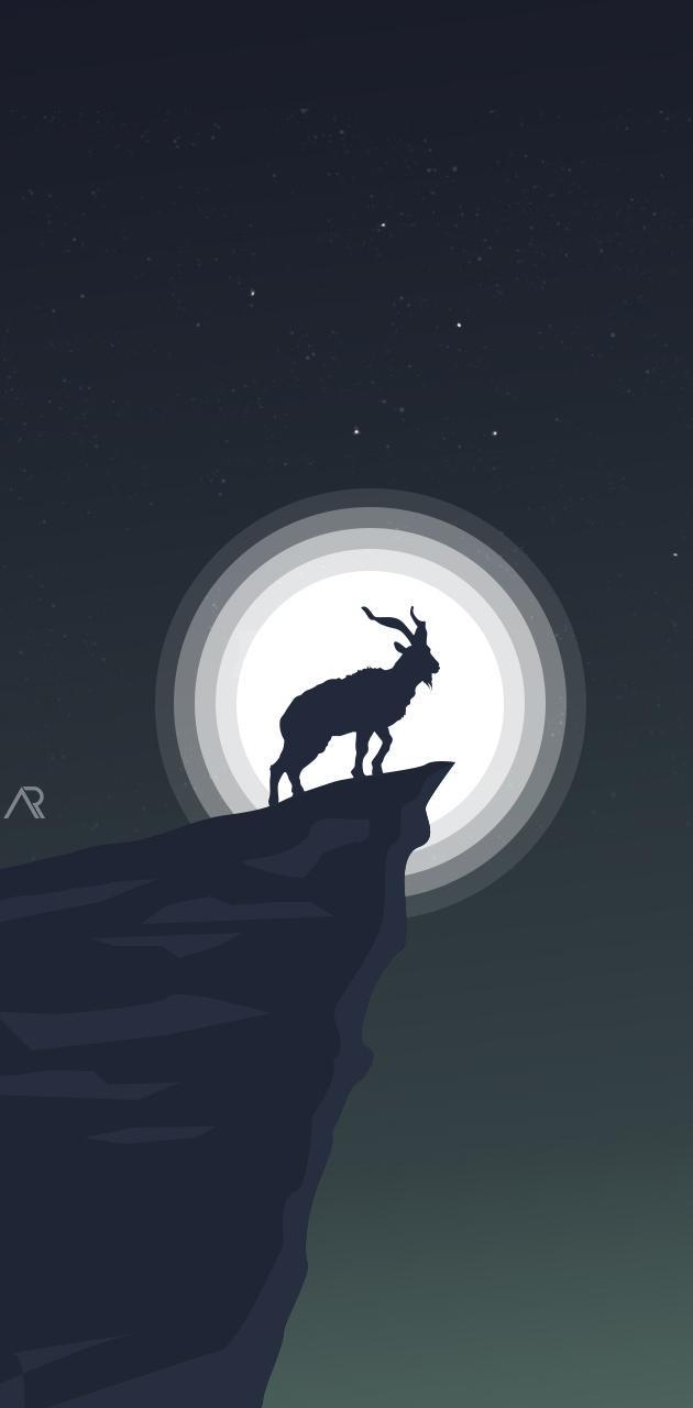 Markhor Wallpapers - Top Free Markhor Backgrounds - WallpaperAccess