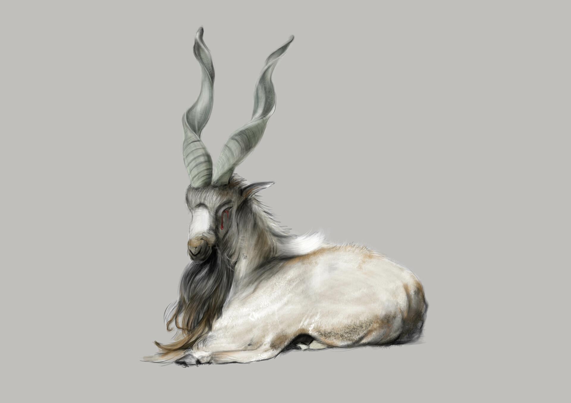 Markhor Wallpapers - Top Free Markhor Backgrounds - WallpaperAccess