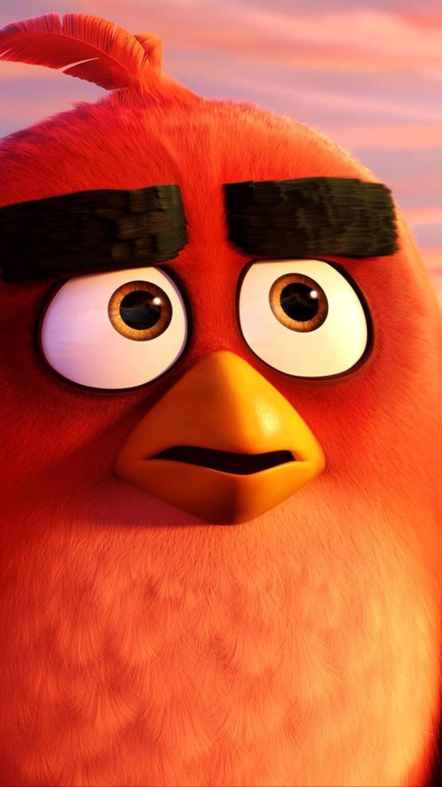 Angry Birds Red Wallpapers - Top Free Angry Birds Red Backgrounds ...
