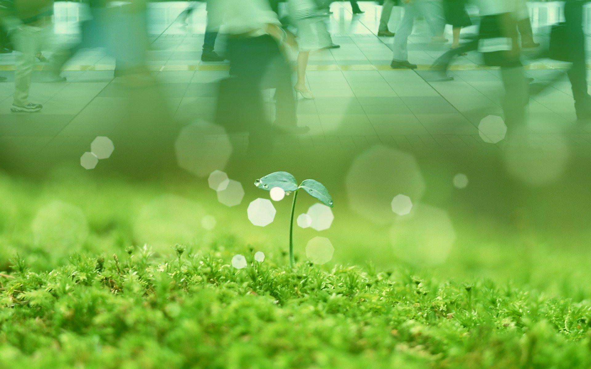 Environmental Desktop Wallpapers - Top Free Environmental Desktop ...