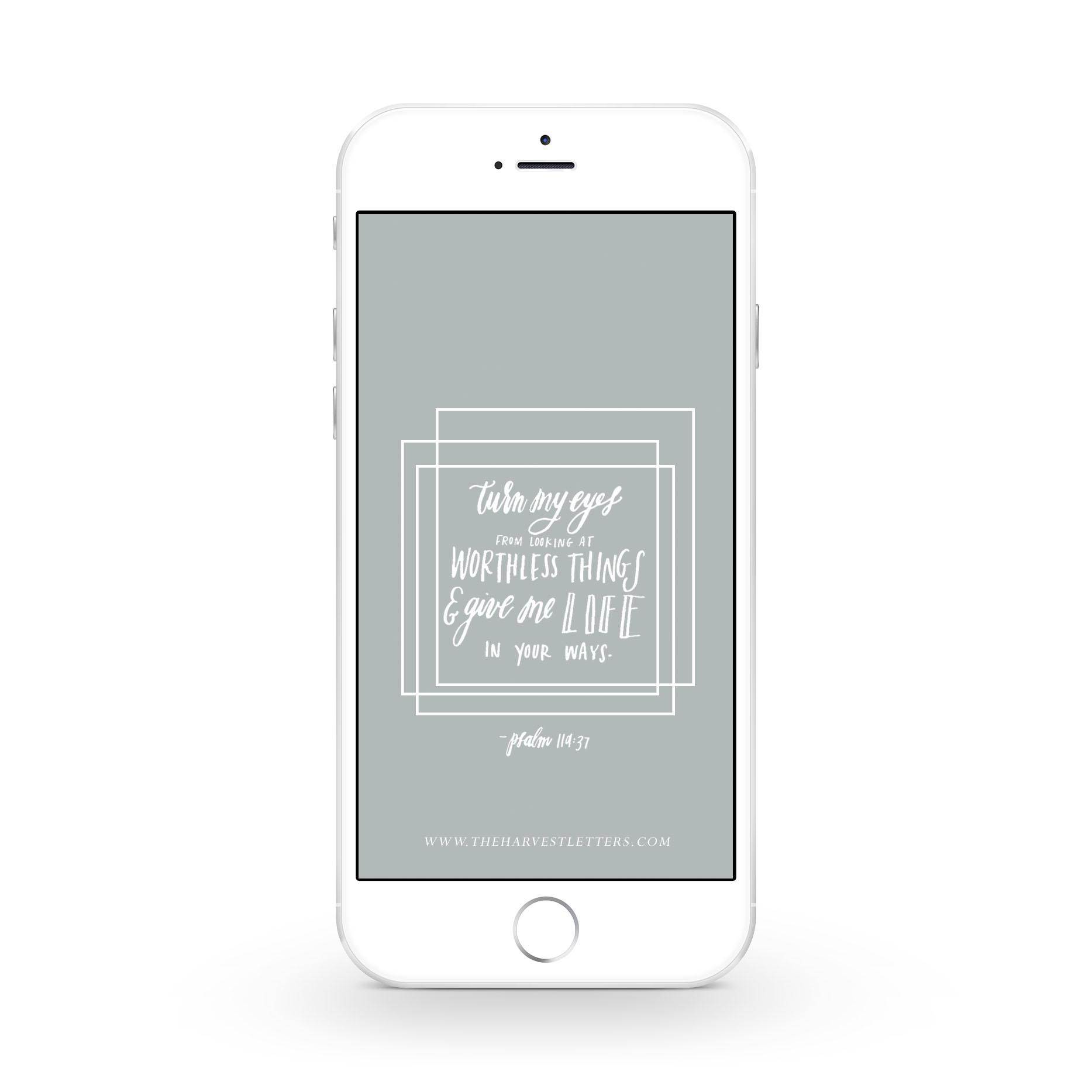 Worthless Wallpapers - Top Free Worthless Backgrounds - WallpaperAccess
