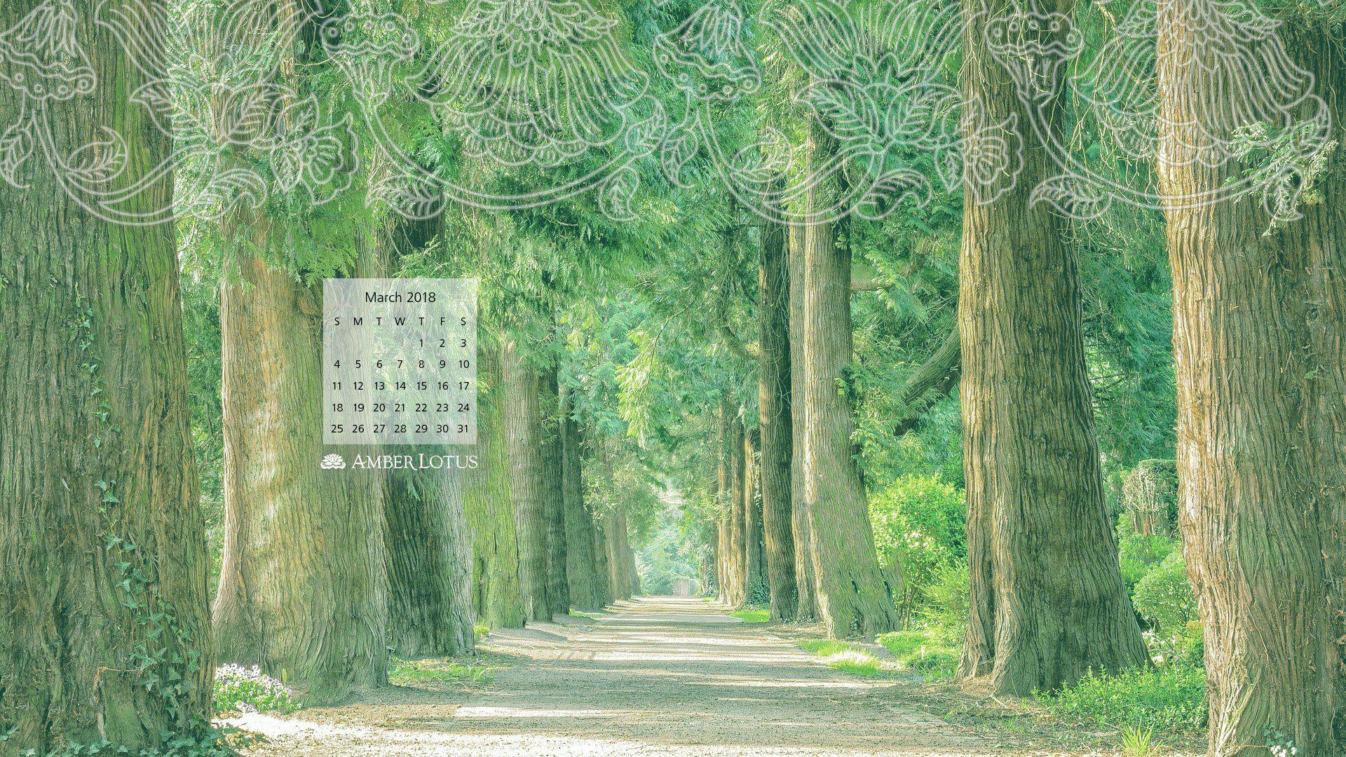 Environmental Desktop Wallpapers - Top Free Environmental Desktop ...