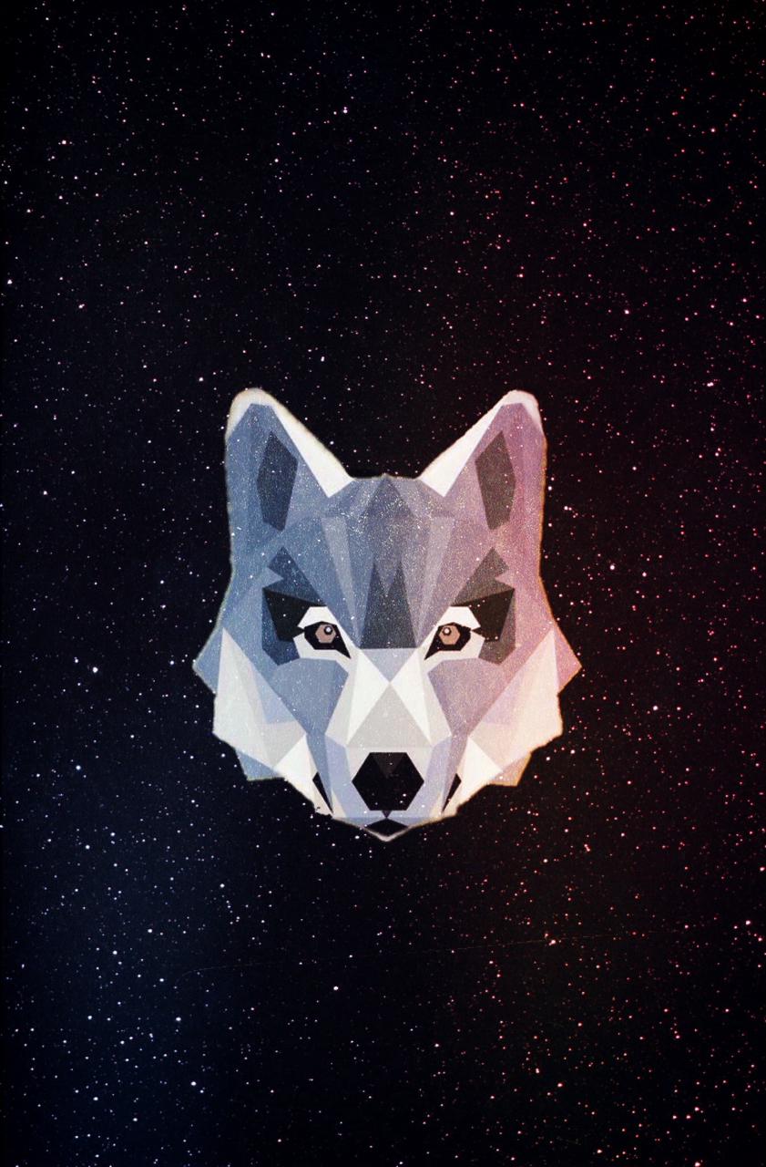Cosmic Wolf Wallpapers - Top Free Cosmic Wolf Backgrounds - WallpaperAccess