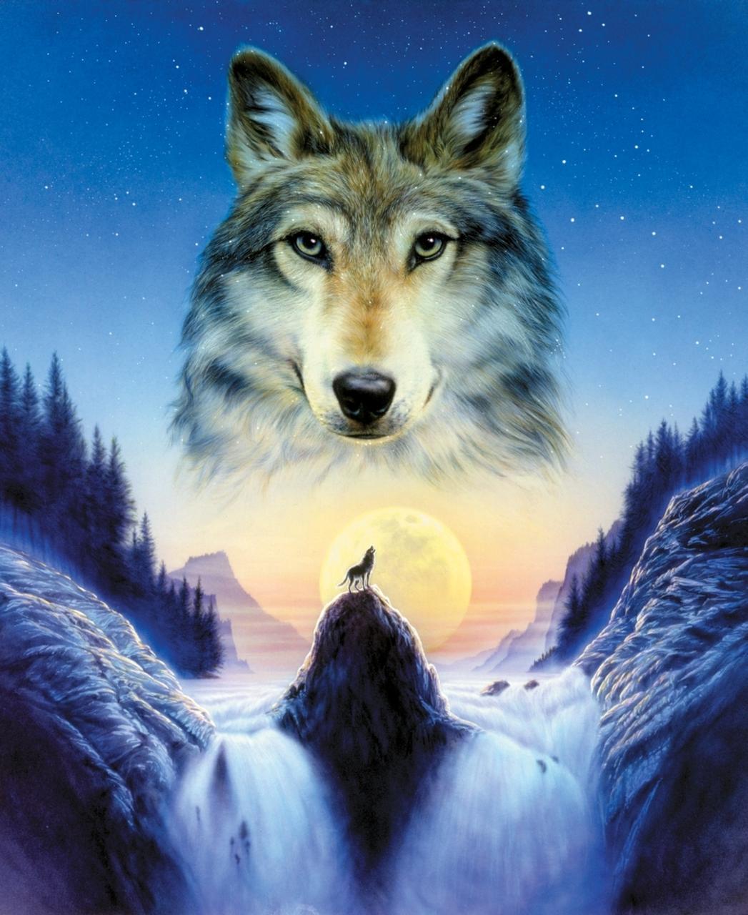 Cosmic Wolf Wallpapers - Top Free Cosmic Wolf Backgrounds - WallpaperAccess