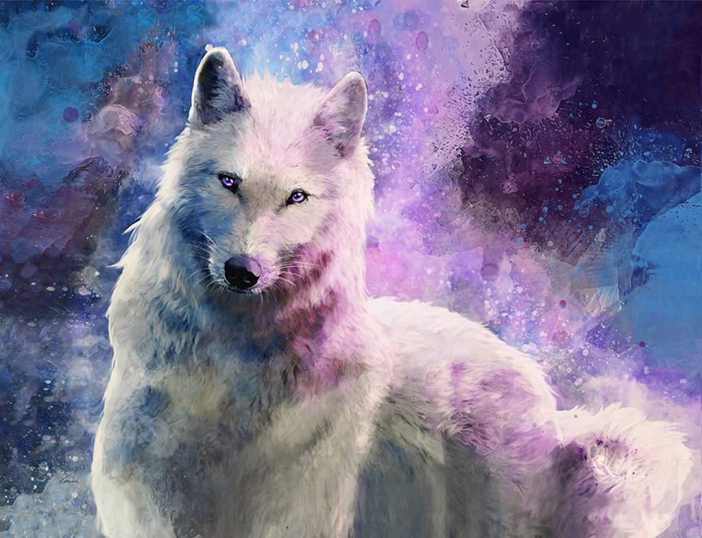 Cosmic Wolf Wallpapers - Top Free Cosmic Wolf Backgrounds - WallpaperAccess