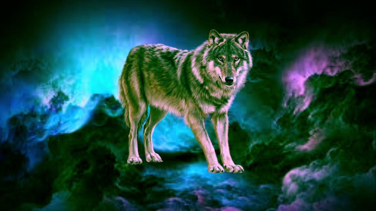 Cosmic Wolf Wallpapers - Top Free Cosmic Wolf Backgrounds - WallpaperAccess