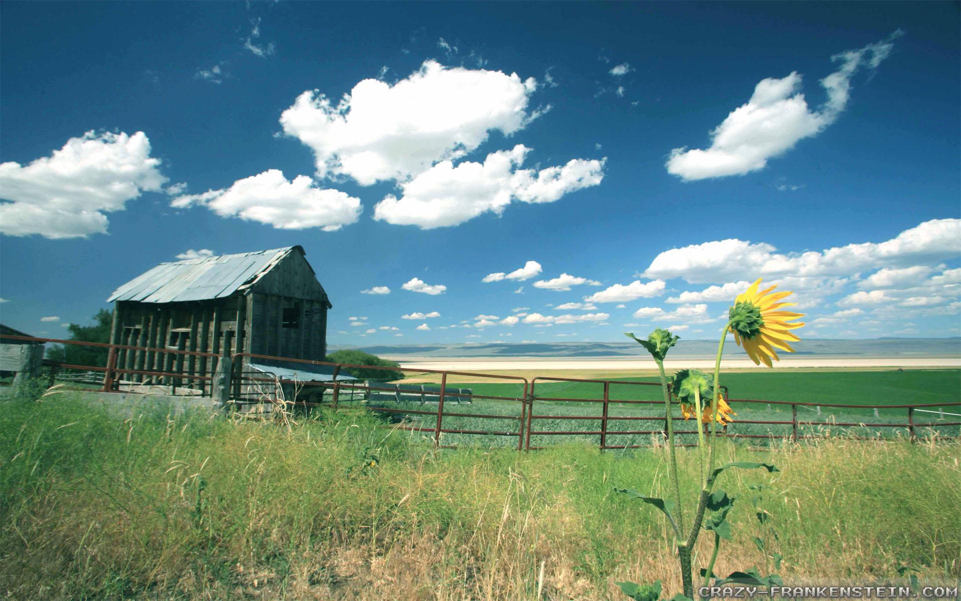 Late Summer Desktop Wallpapers - Top Free Late Summer Desktop ...