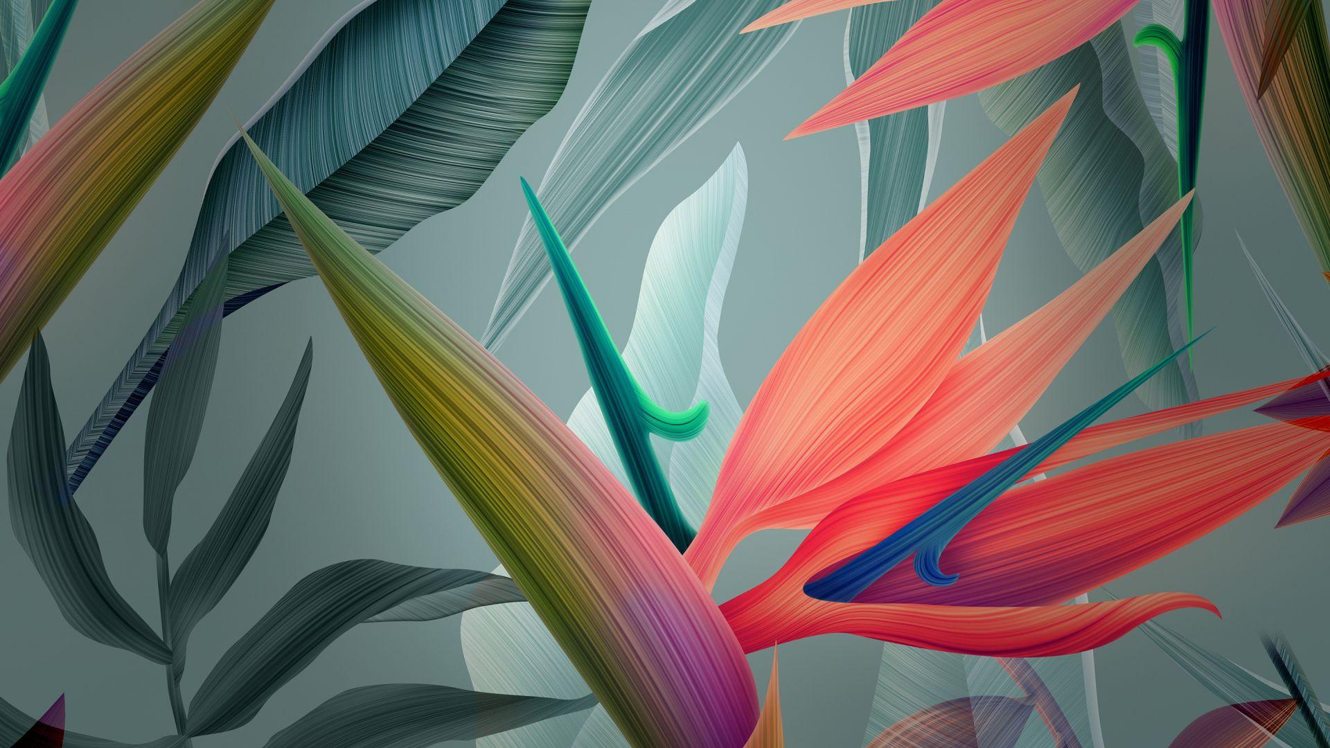 Huawei PC Wallpapers - Top Free Huawei PC Backgrounds - WallpaperAccess