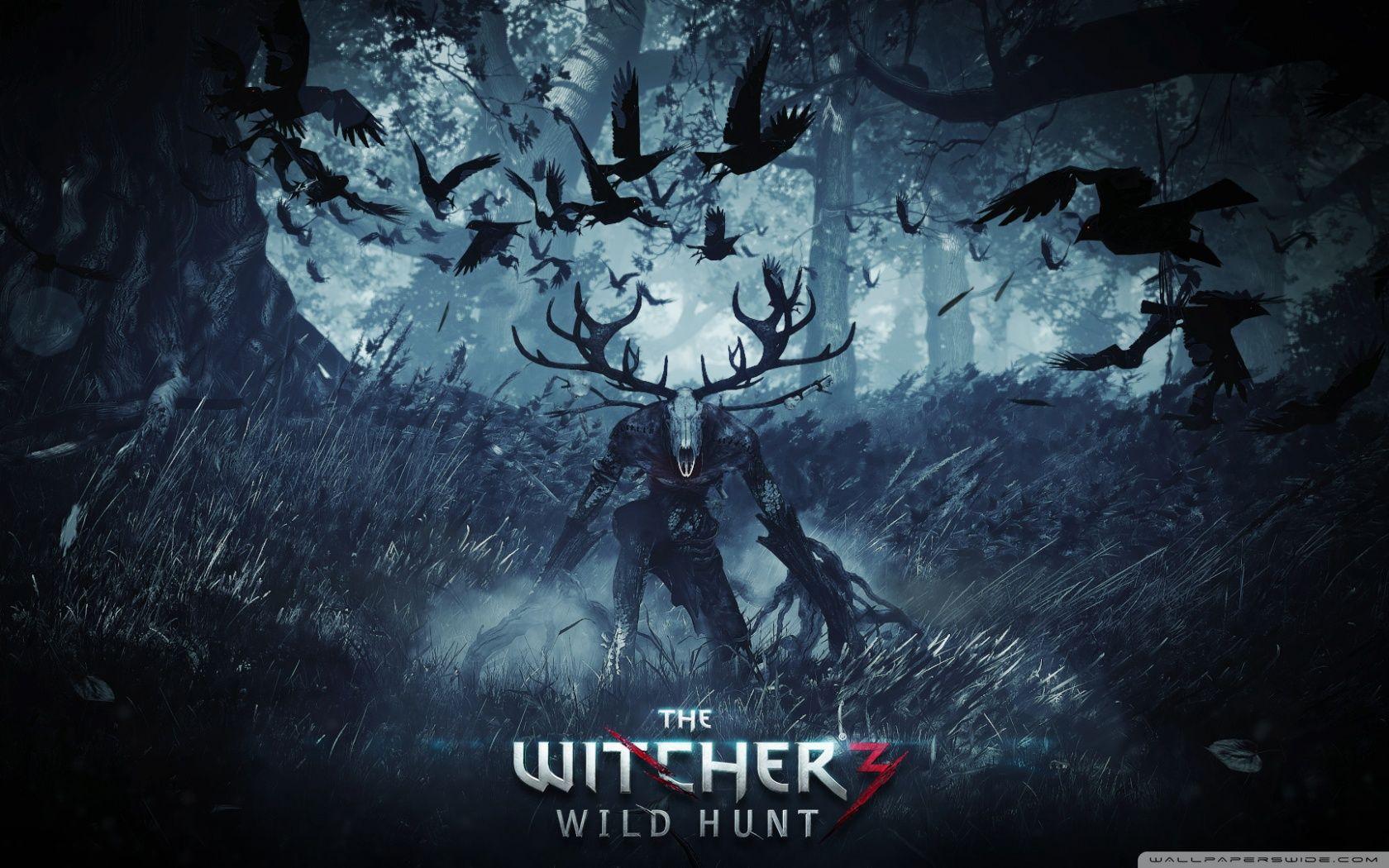 Witcher 3 4k Wallpapers - Top Free Witcher 3 4k Backgrounds ...