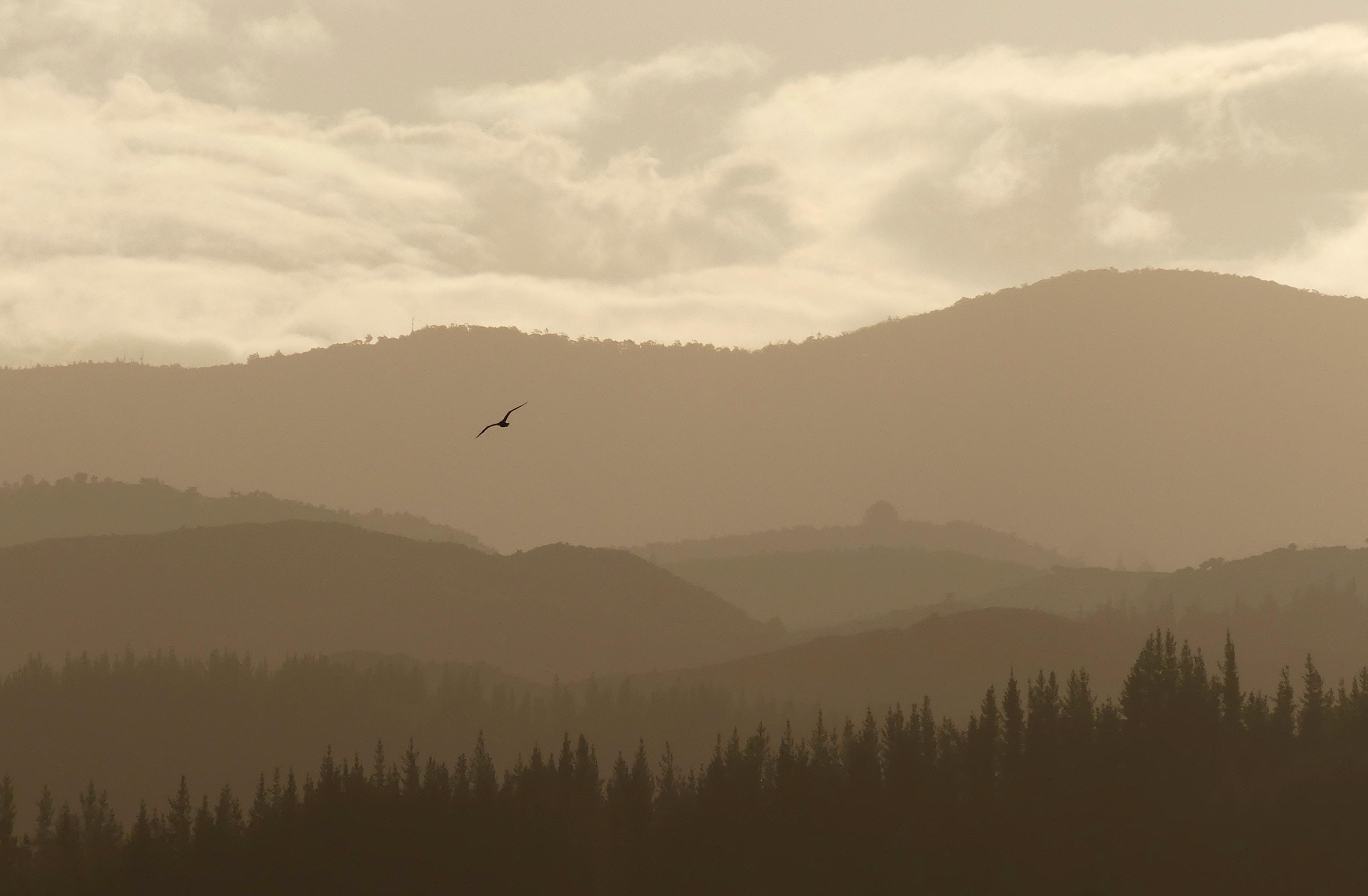 Brown Landscape Wallpapers - Top Free Brown Landscape Backgrounds ...