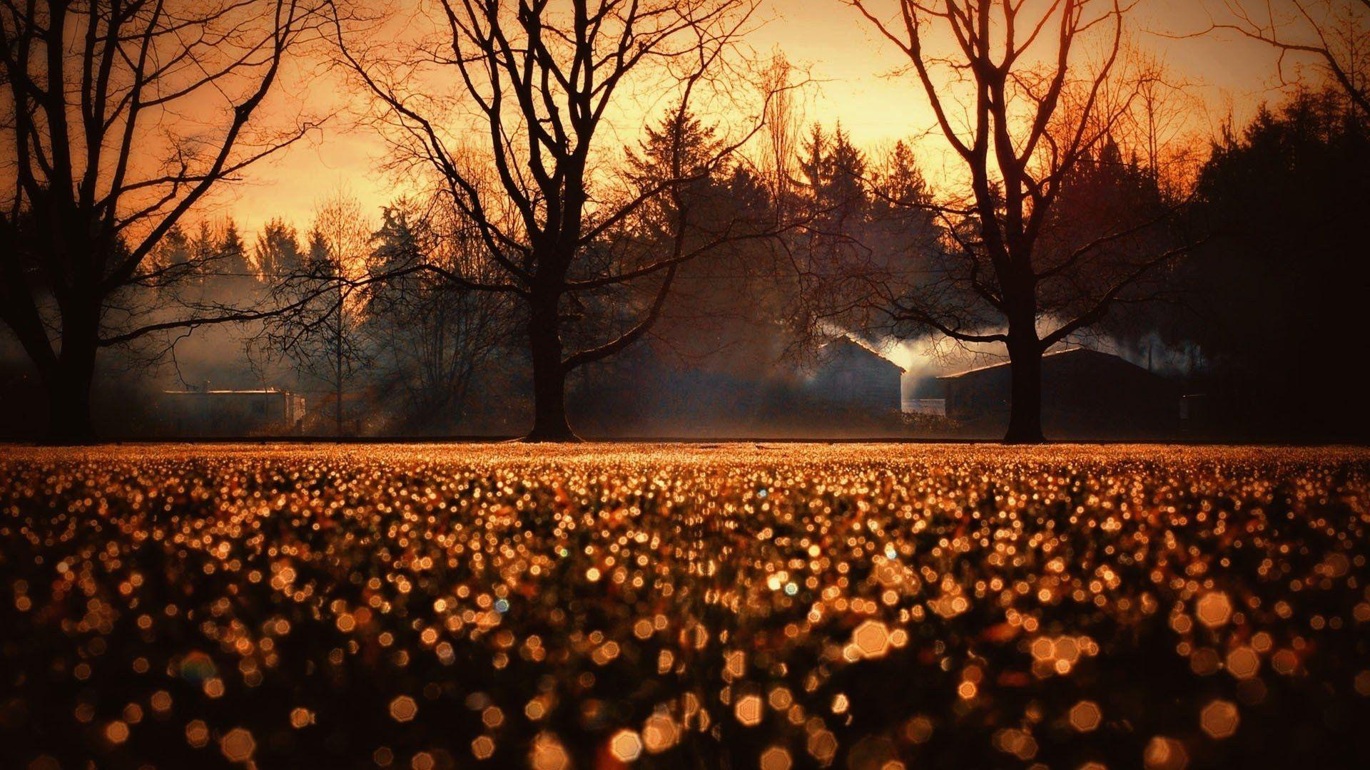 Brown Landscape Wallpapers - Top Free Brown Landscape Backgrounds ...