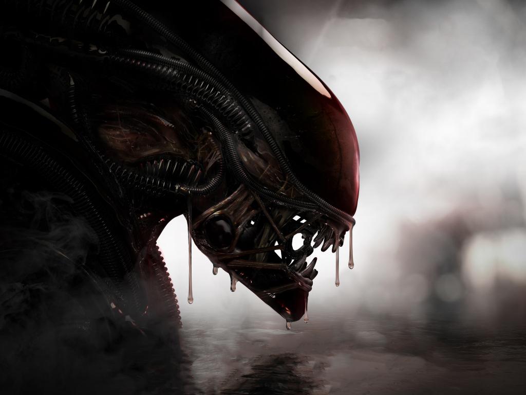 Alien Predator Wallpapers - Top Free Alien Predator Backgrounds ...