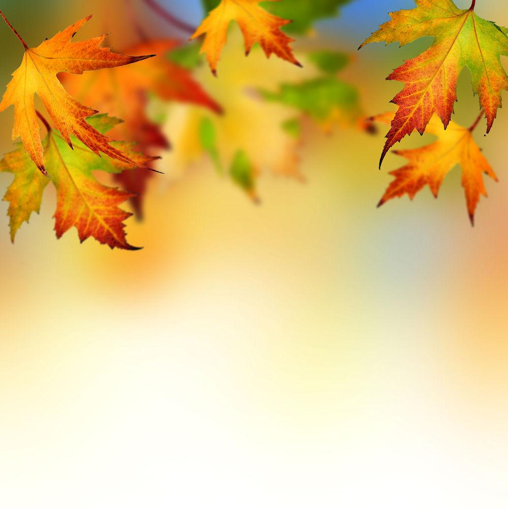 Fall Heart Wallpapers - Top Free Fall Heart Backgrounds - WallpaperAccess