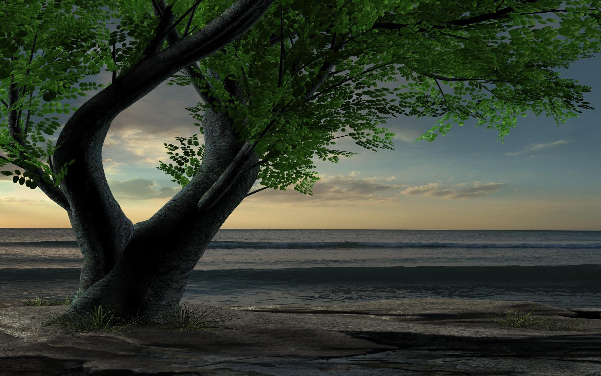 Fantasy Tree Wallpapers - Top Free Fantasy Tree Backgrounds ...