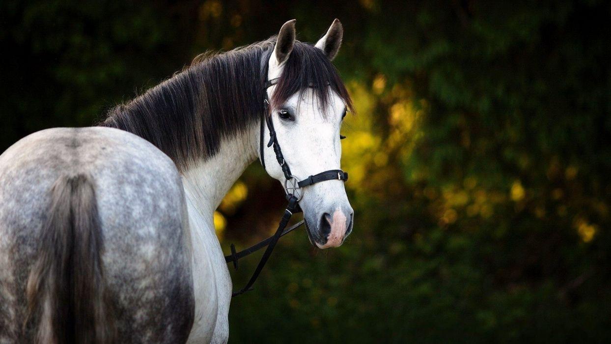 Back Side Wallpapers - Top Free Back Side Backgrounds - WallpaperAccess