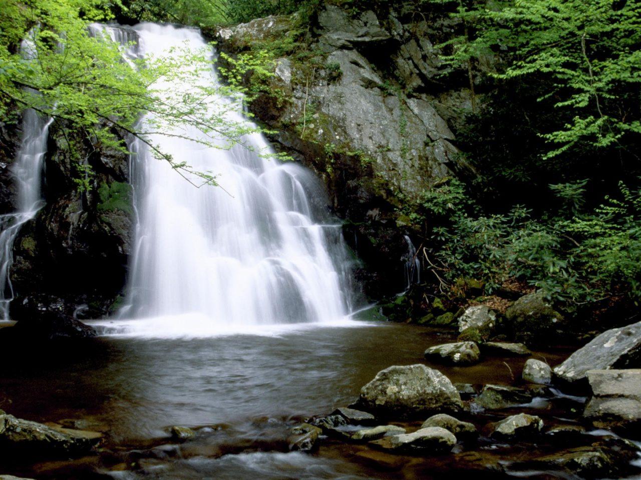 Nature Full Screen Wallpapers - Top Free Nature Full Screen Backgrounds ...