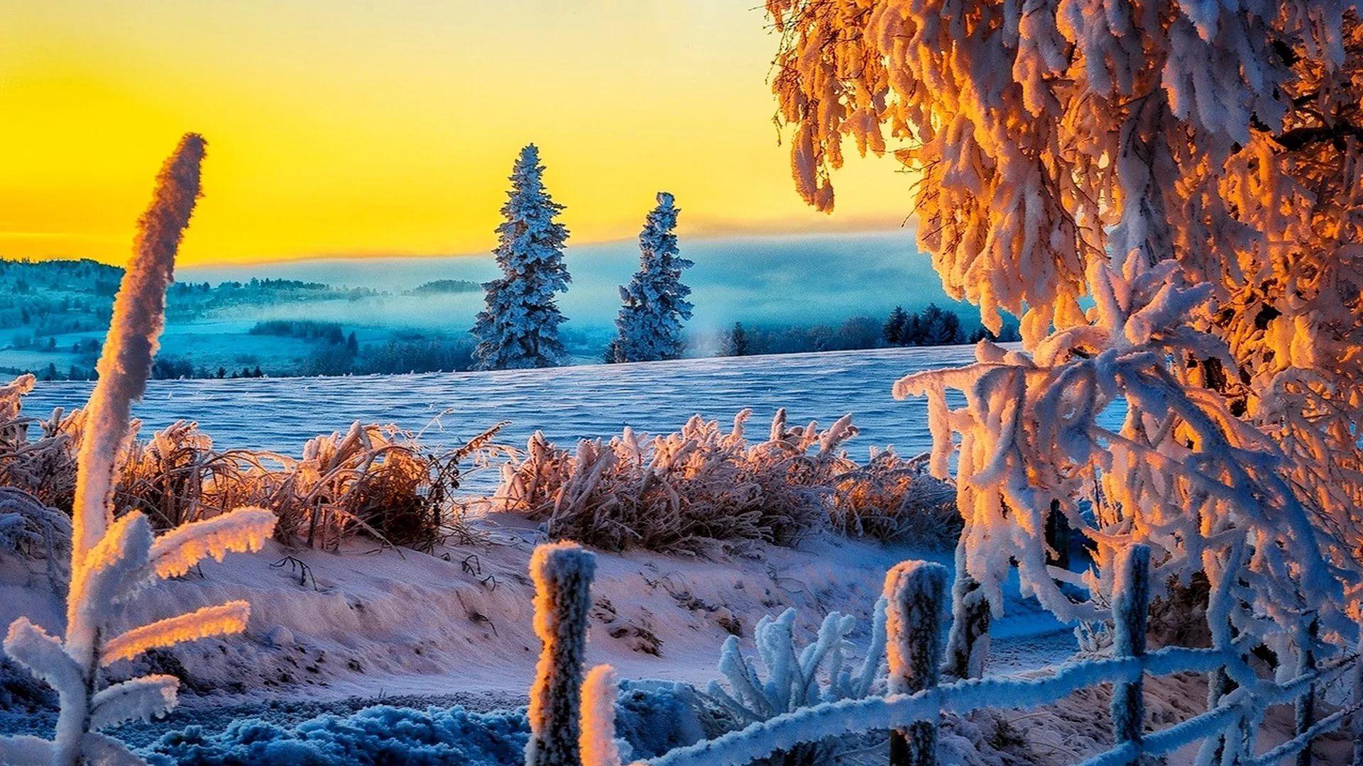 Winter 1920x1080 Wallpapers - Top Free Winter 1920x1080 Backgrounds ...