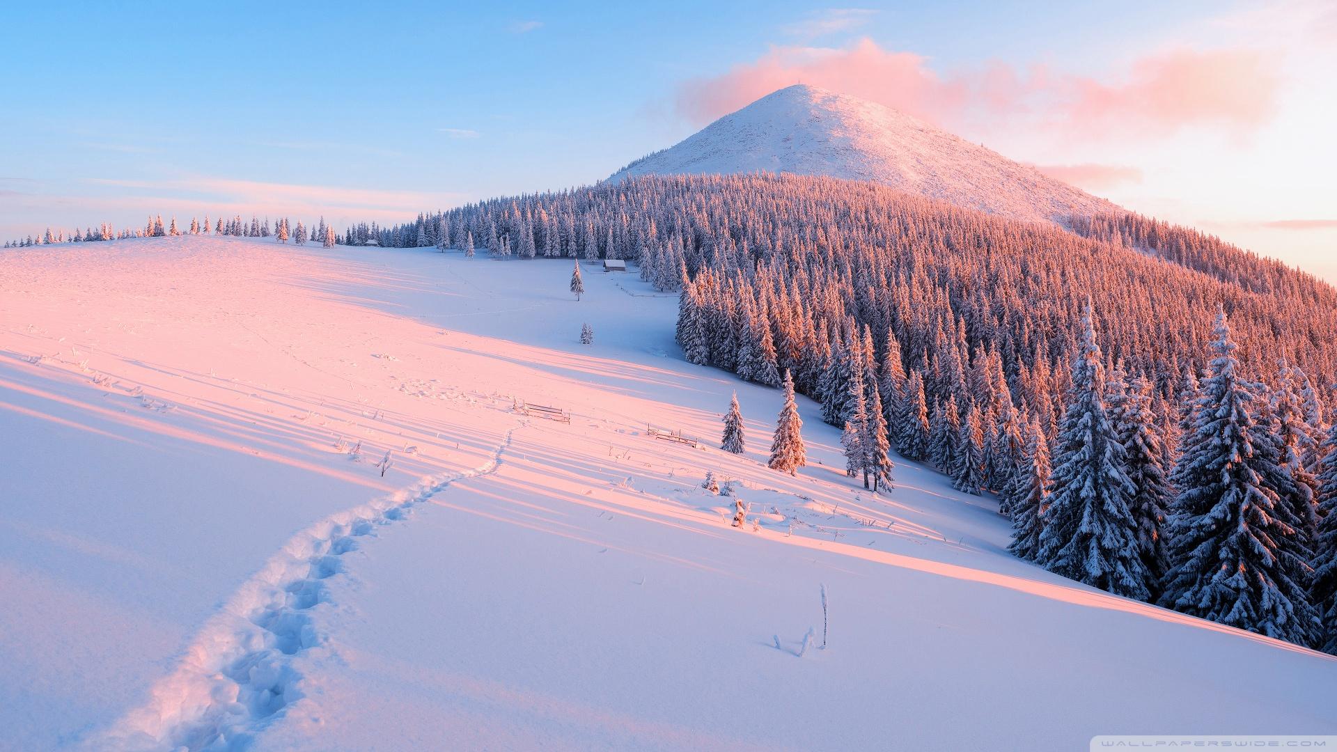 Winter 1920x1080 Wallpapers - Top Free Winter 1920x1080 Backgrounds ...