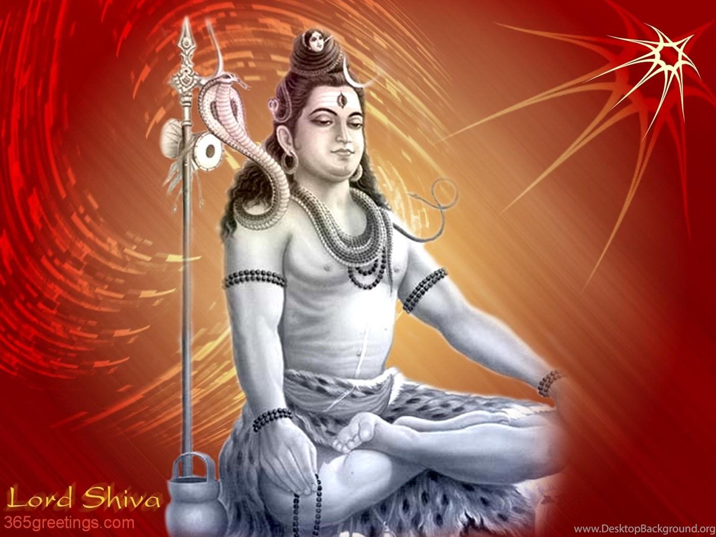 Siba Wallpapers - Top Free Siba Backgrounds - WallpaperAccess