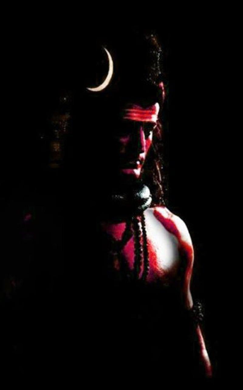 Siba Wallpapers - Top Free Siba Backgrounds - WallpaperAccess