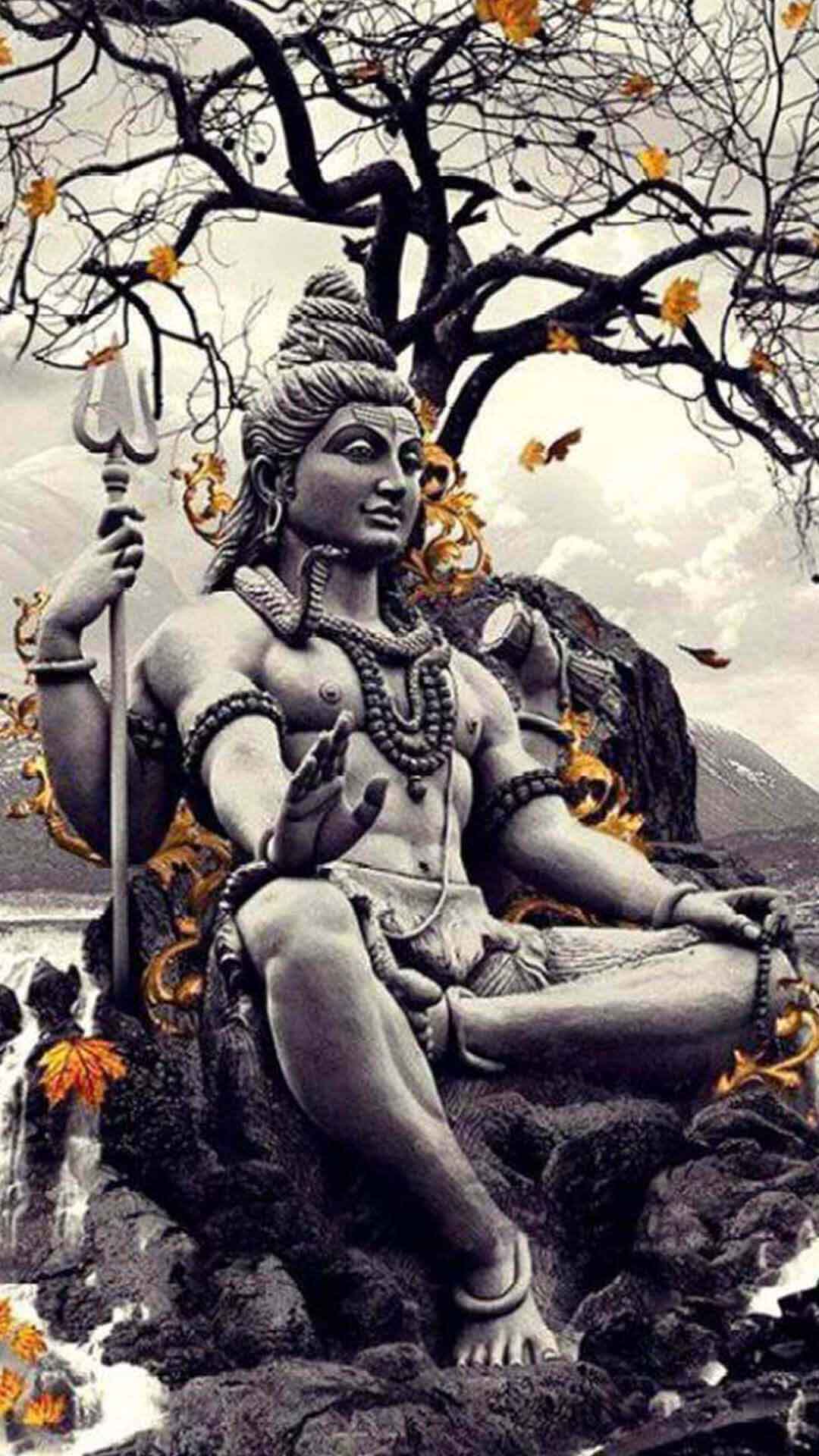 Siba Wallpapers - Top Free Siba Backgrounds - WallpaperAccess