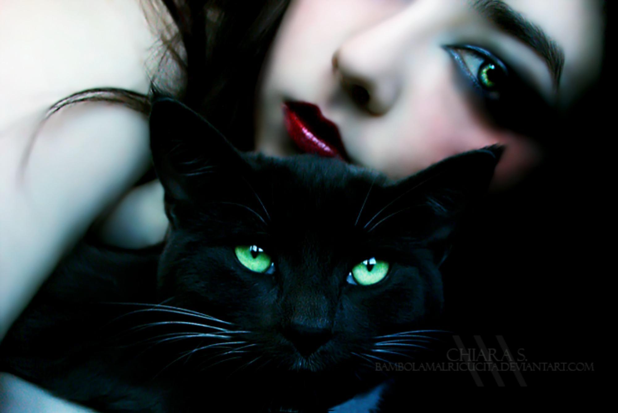 Girl With Cat Wallpapers - Top Free Girl With Cat Backgrounds ...