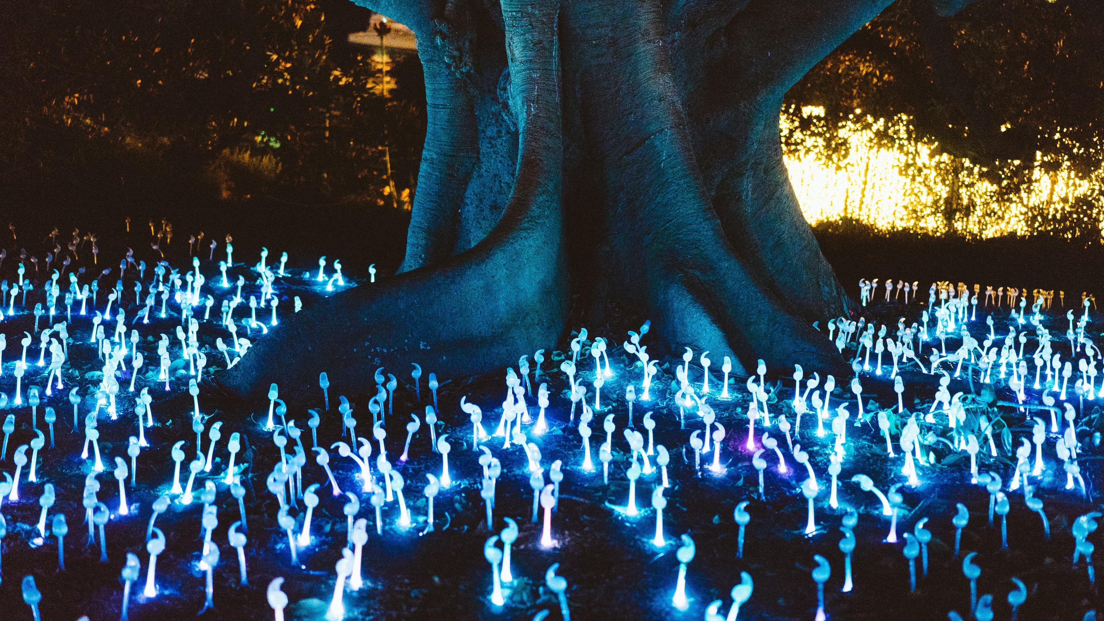 Neon Tree Wallpapers - Top Free Neon Tree Backgrounds - WallpaperAccess