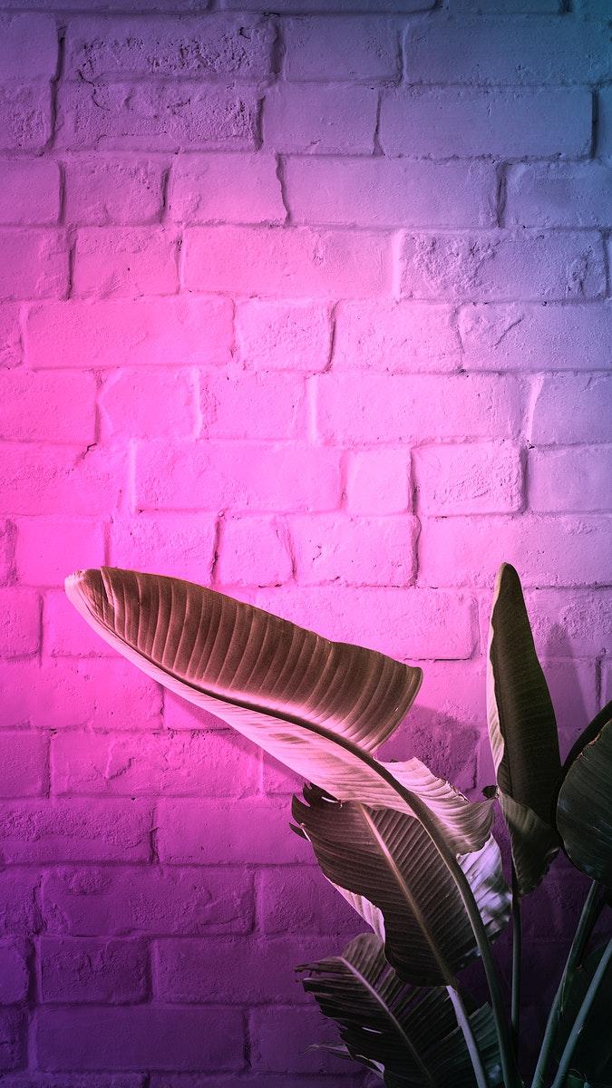 Neon Tree Wallpapers - Top Free Neon Tree Backgrounds - WallpaperAccess