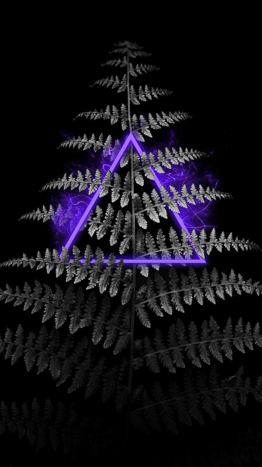 Neon Tree Wallpapers - Top Free Neon Tree Backgrounds - WallpaperAccess