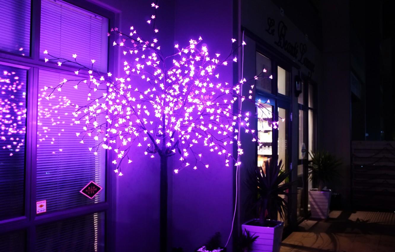 Neon Tree Wallpapers - Top Free Neon Tree Backgrounds - WallpaperAccess