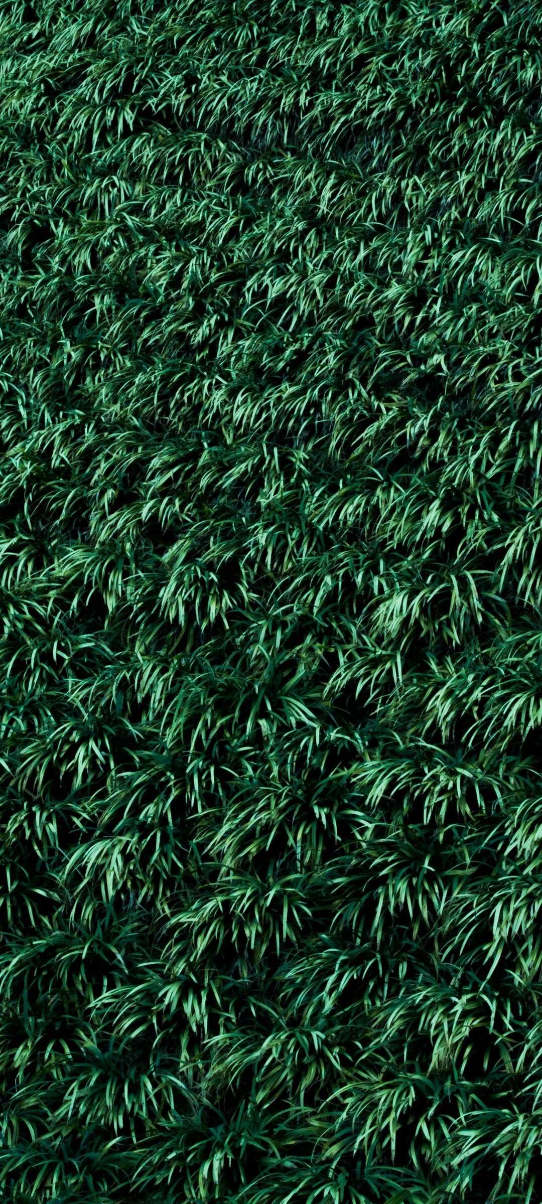 Turf Wallpapers - Top Free Turf Backgrounds - WallpaperAccess