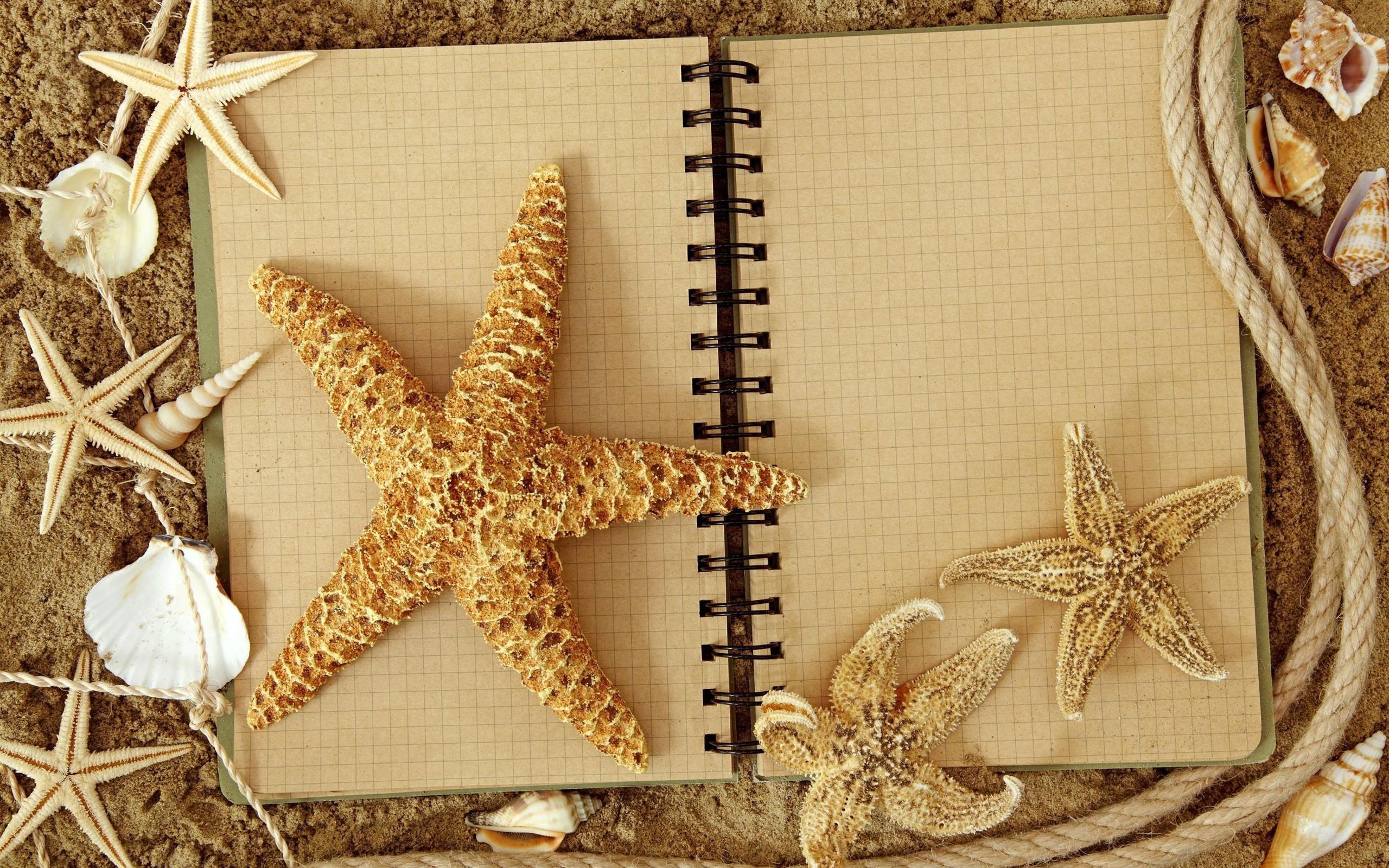 Starfish Wallpapers - Top Free Starfish Backgrounds - WallpaperAccess
