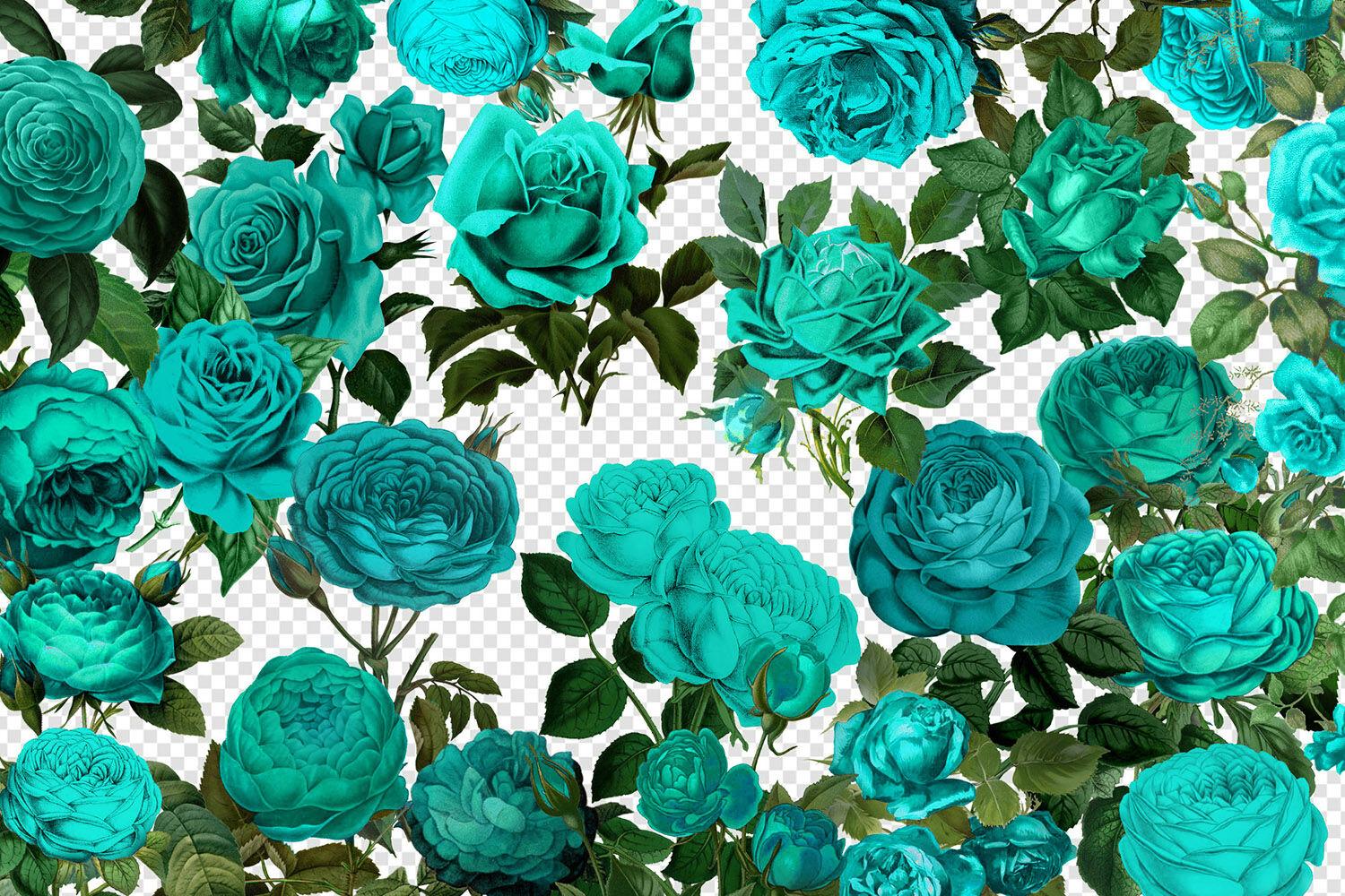 Teal Rose Wallpapers - Top Free Teal Rose Backgrounds - WallpaperAccess