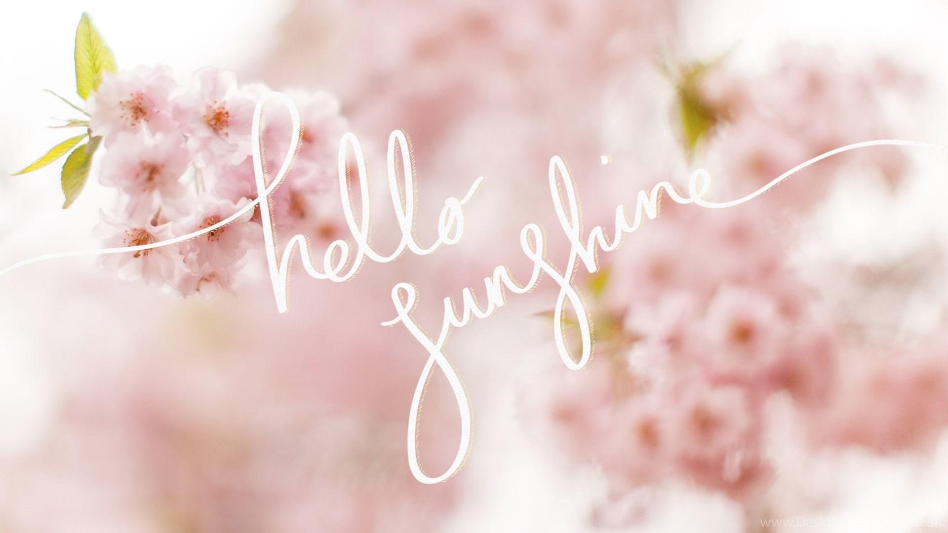 Hello Sunshine Wallpapers - Top Free Hello Sunshine Backgrounds ...