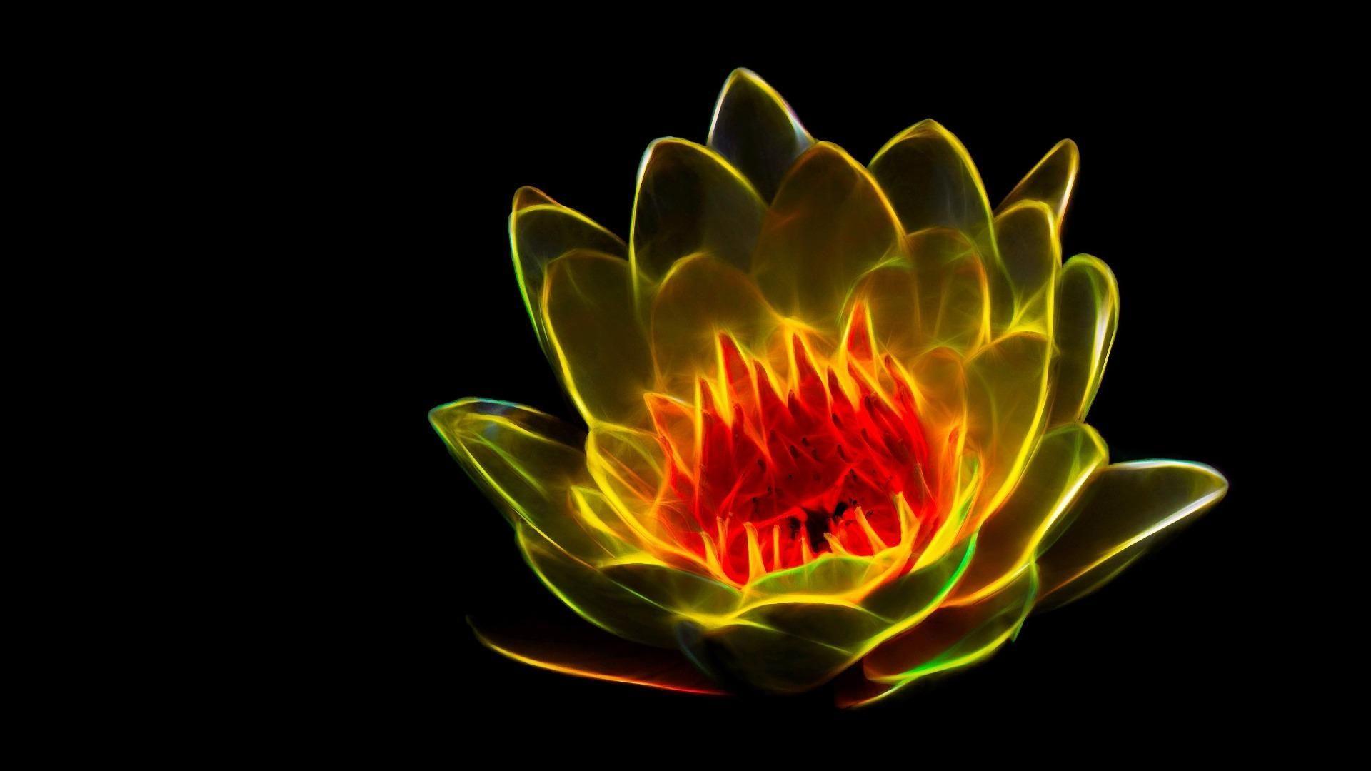Lotus Flower Art Wallpapers - Top Free Lotus Flower Art Backgrounds ...
