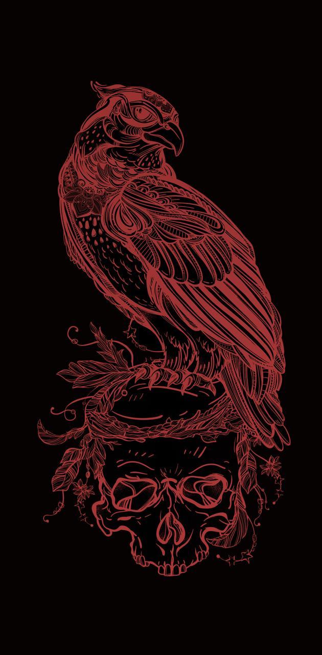 The Falcon Wallpapers - Top Free The Falcon Backgrounds - WallpaperAccess